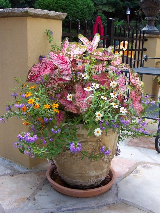 CUSTOM FLOWER DESIGN PLANTS – Orange Garden Center
