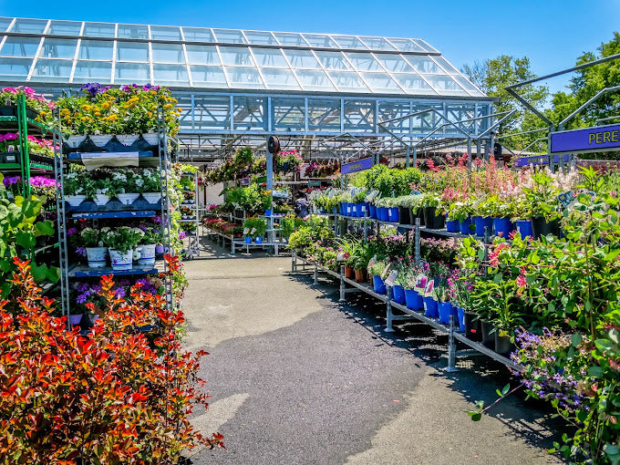 TREE & SHRUB NURSERY – Orange Garden Center