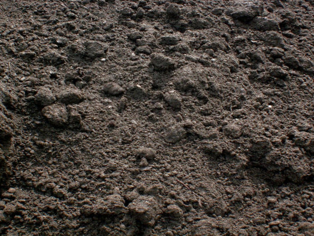 Premium Screened Organic Topsoil – Orange Garden Center